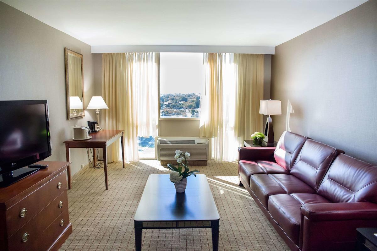 Ramada Plaza Atlanta Capitol Park|Atlanta hotels|Eligasht